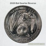 2020 Bat Quarter Value: Errors & Varieties (P, D, S, W)