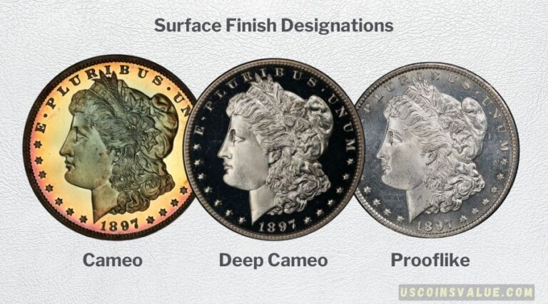 U.S. Coin Grades: Grading Scale & Best Grading Services