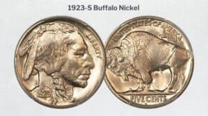 Top 20 Most Valuable Buffalo Nickels Worth Money